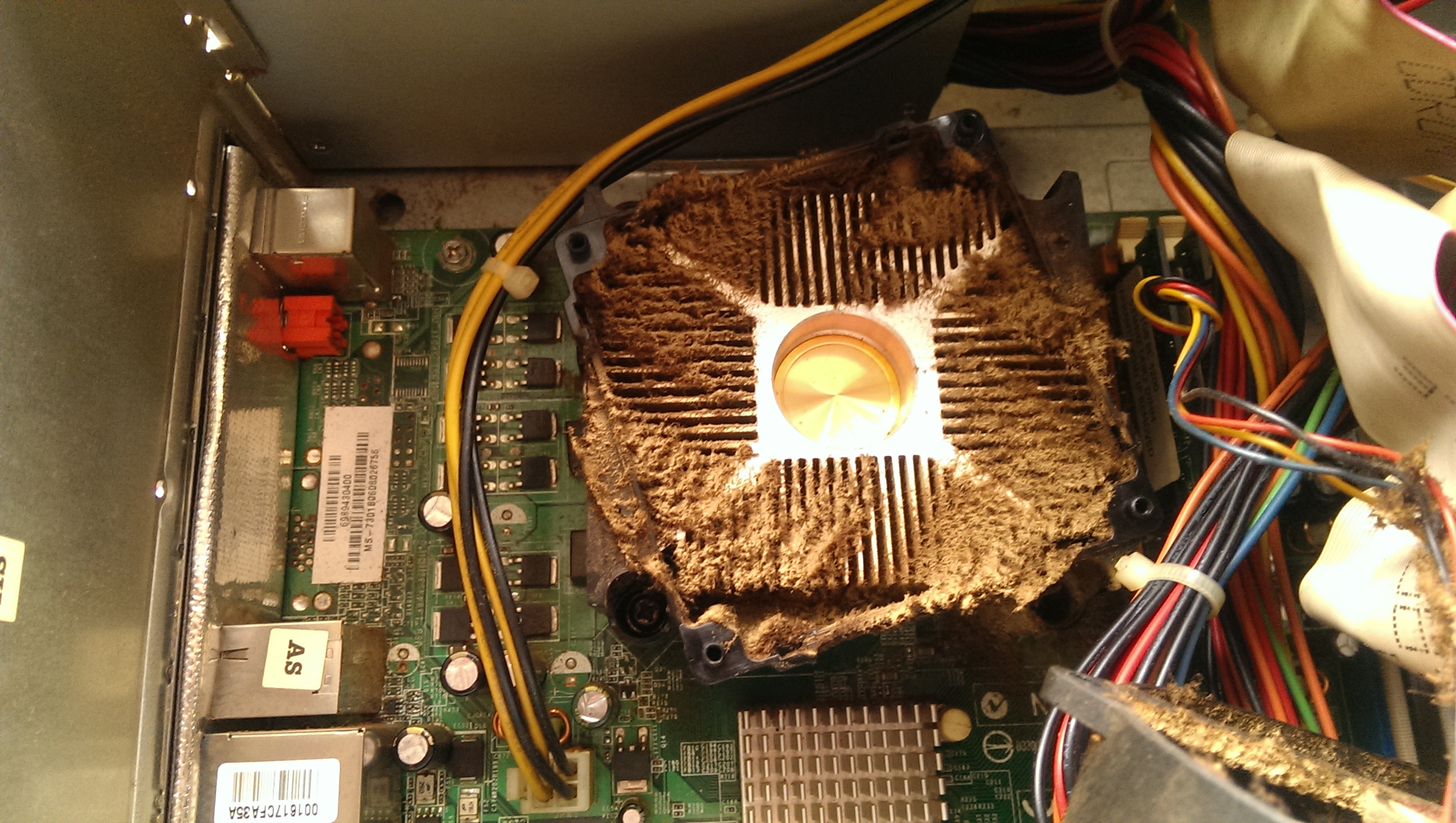 PHIL GUY COMPUTER & REPAIRS, Computer Preventative Maintenance